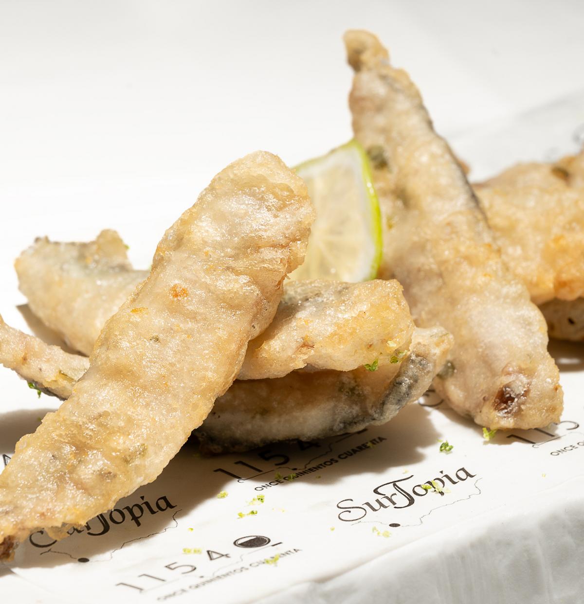 Pequeño pero único: ¿por qué es tan especial el boquerón victoriano?