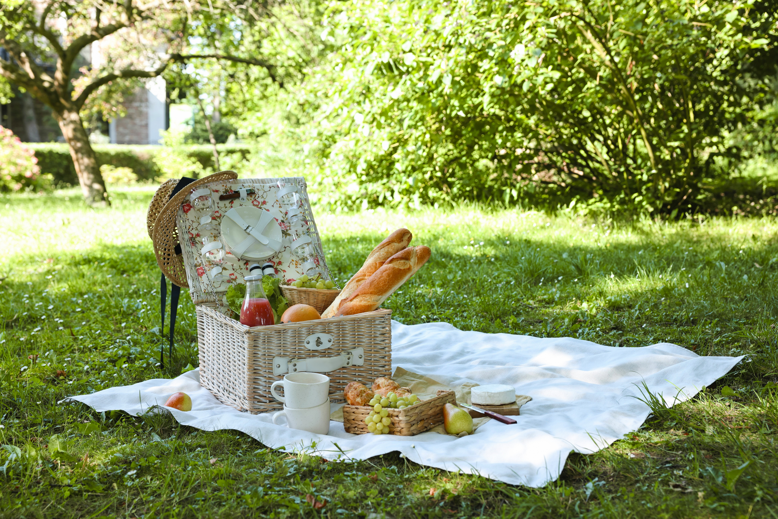 Cómo organizar el pícnic perfecto
